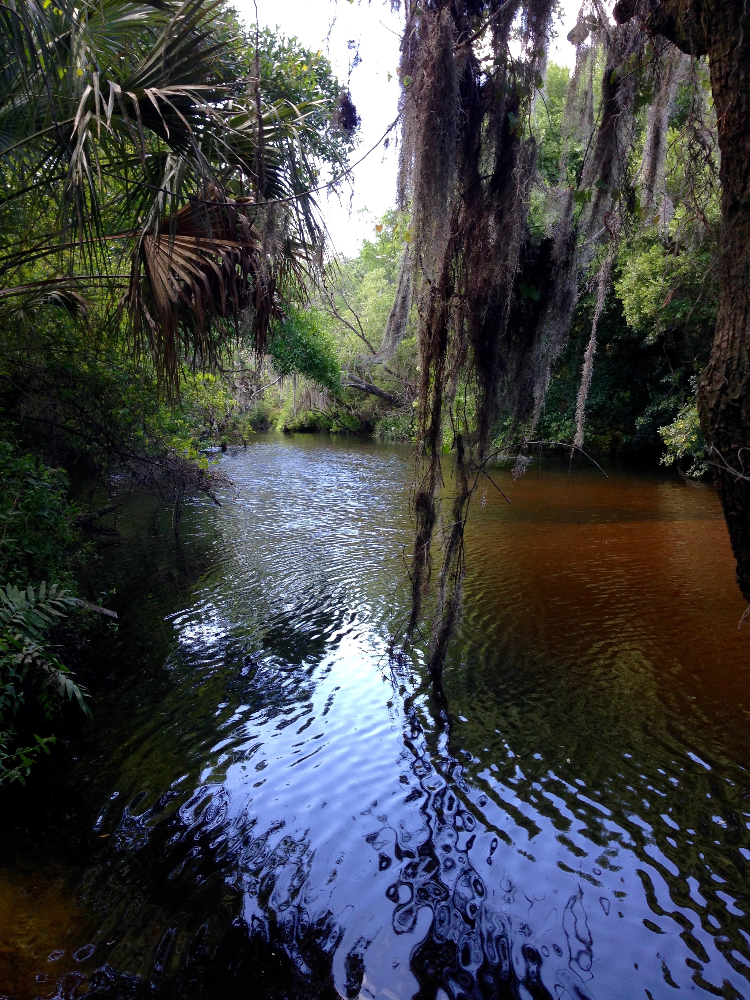 Little Manatee River | Circle to Circle