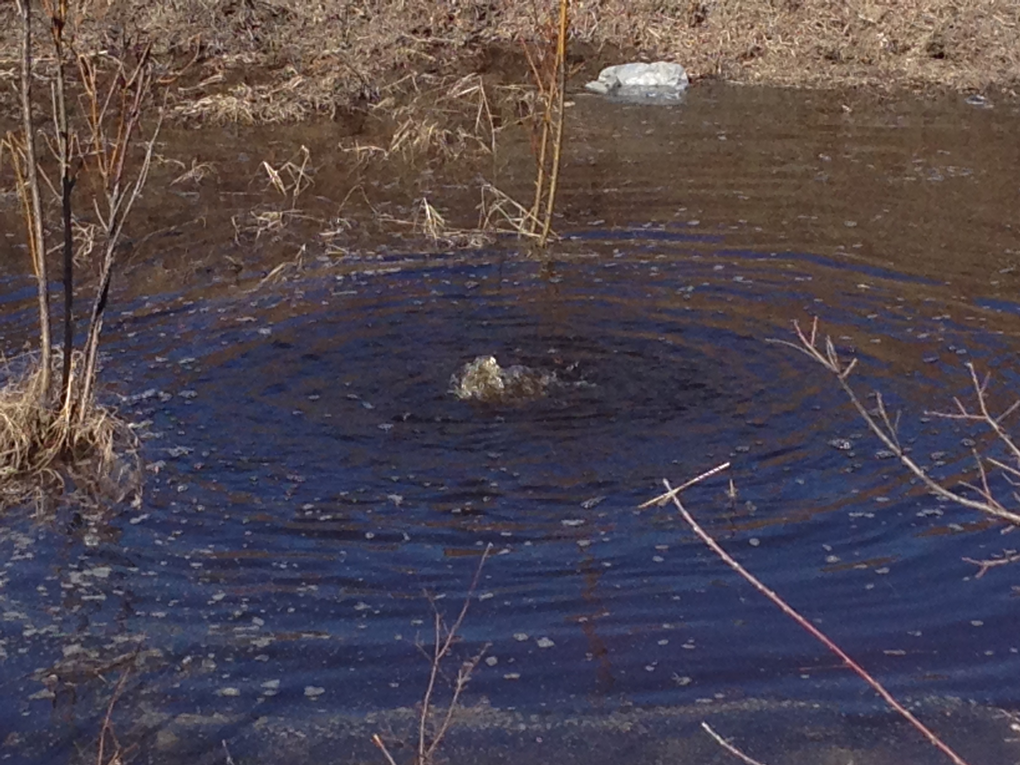 Methane Pocket | Circle to Circle