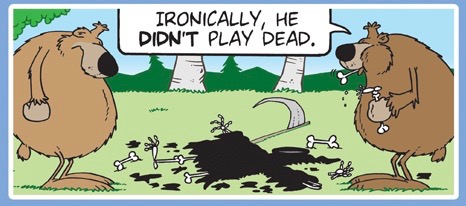 Some levity | Circle to Circle