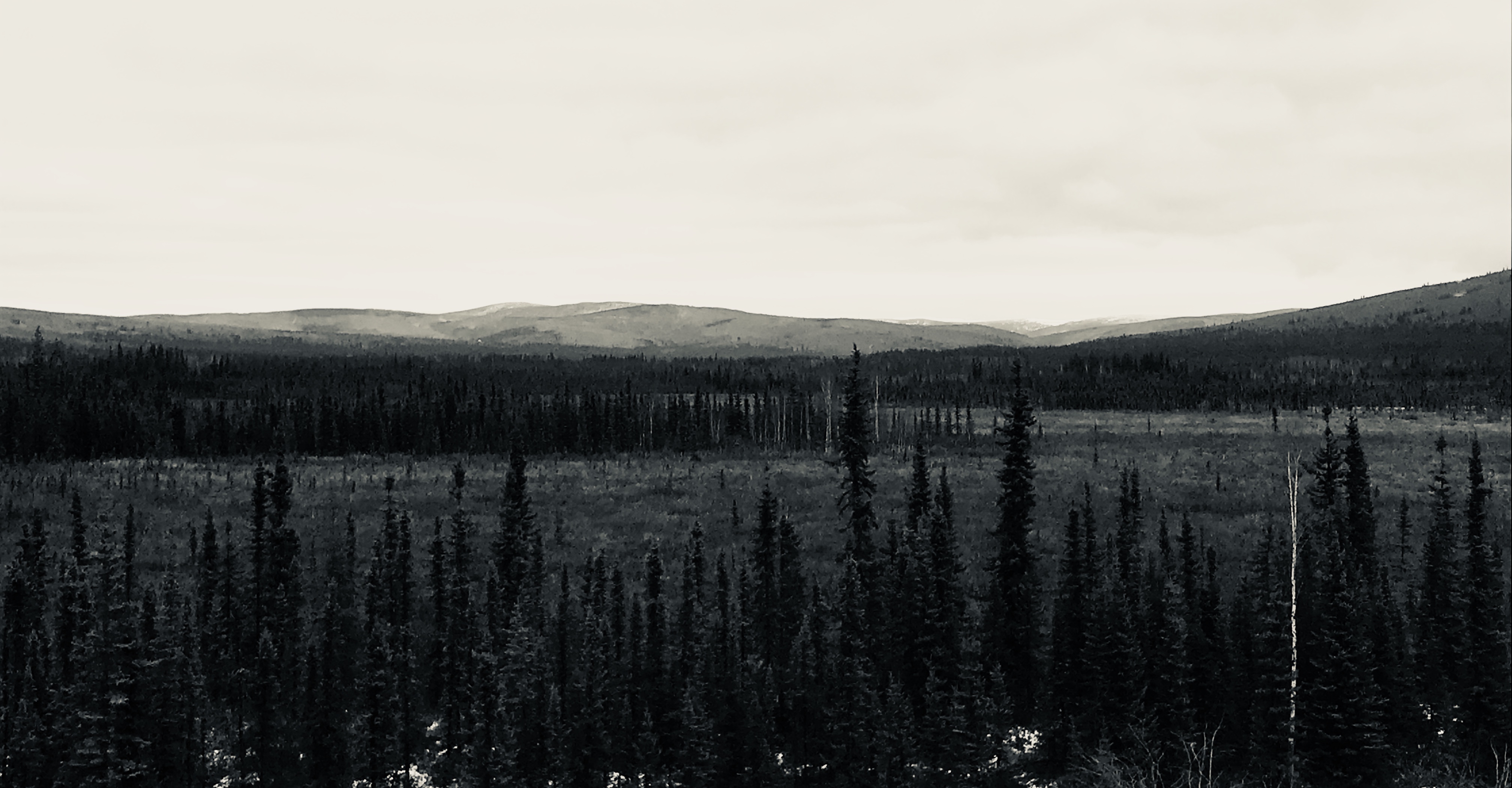 The Goldstream Valley | Circle to Circle