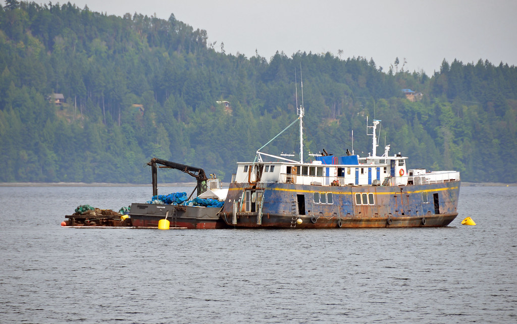 The Original: “Blue Canoe” | Circle to Circle